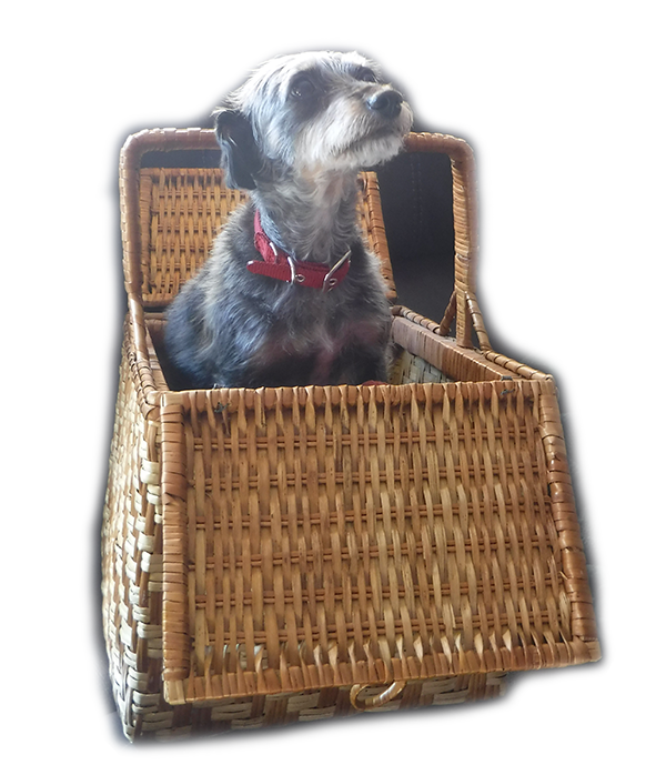 Pet Statues – Custom Dog Statues